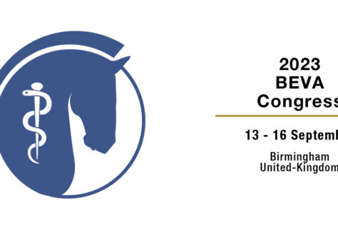 Horse Dental Equipment, Your Partner to develop your Equine Dentistry ...