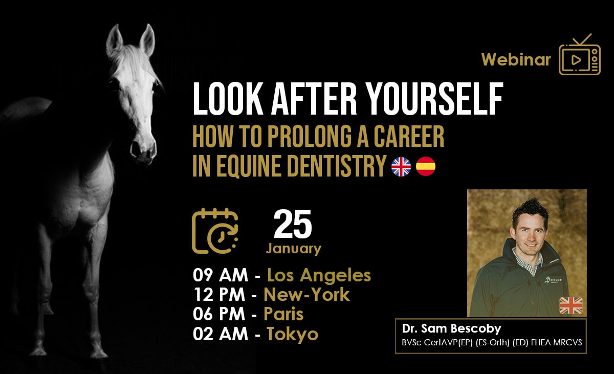 [HDE Webinar] Look After Yourself: how to prolong a career in equine ...
